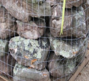 Large Landscaping Boulders, Stones & Rocks | Atlanta Landscape Materials